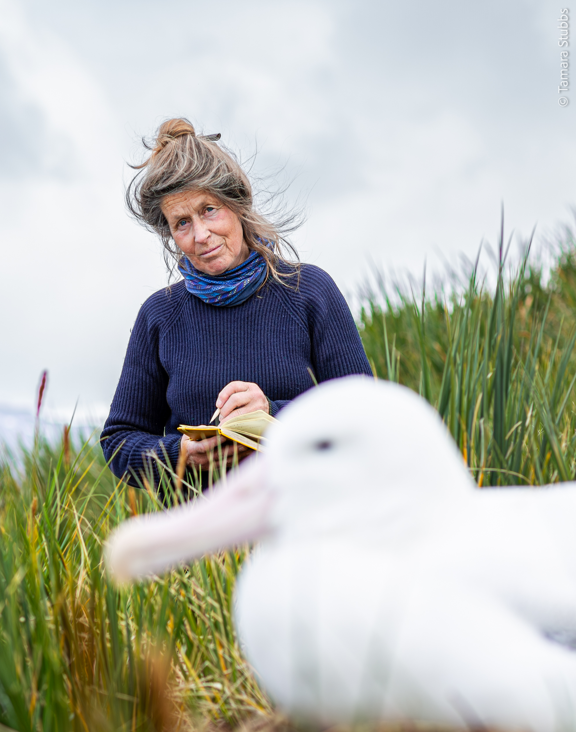 AOP Features: Tamara Stubbs – AOP